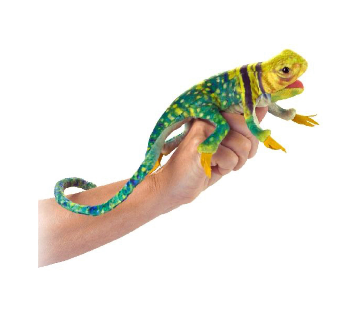 Folkmanis Mini Collared Lizard Finger Puppet – Sewing Seeds Play